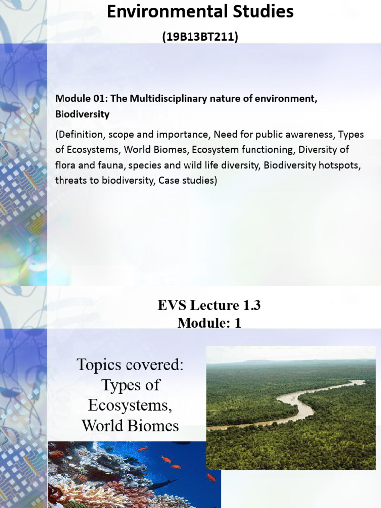 EVS Audit Module 1.3 | PDF