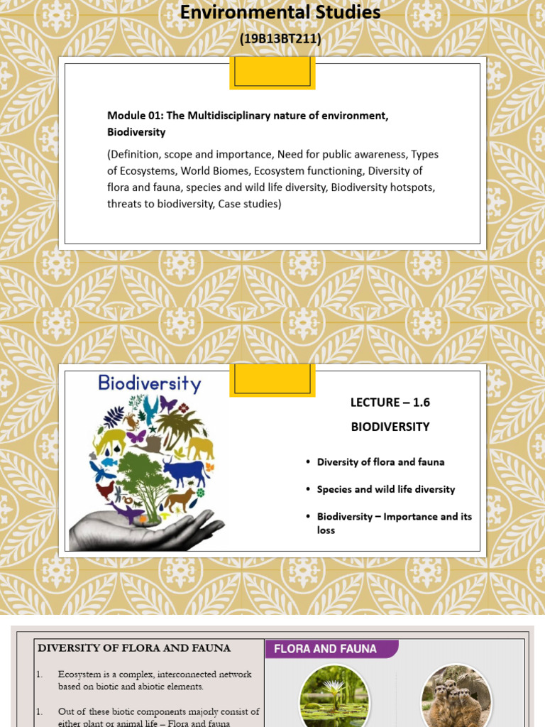 EVS Audit Module 1.6 | PDF