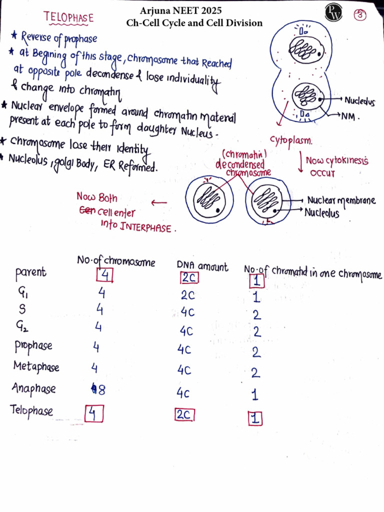 Cell Cycle and Cell Division 04 - Handwritten Notes - Arjuna NEET 2025 ...