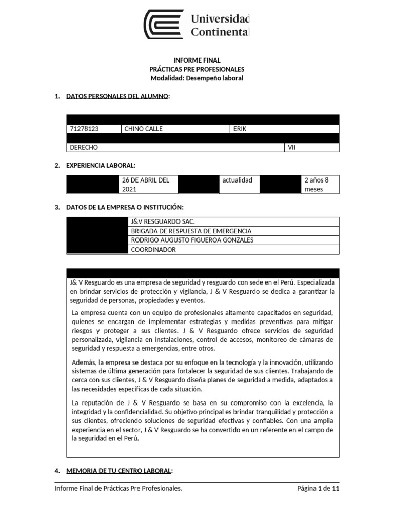 Fomato de Informe Final | PDF