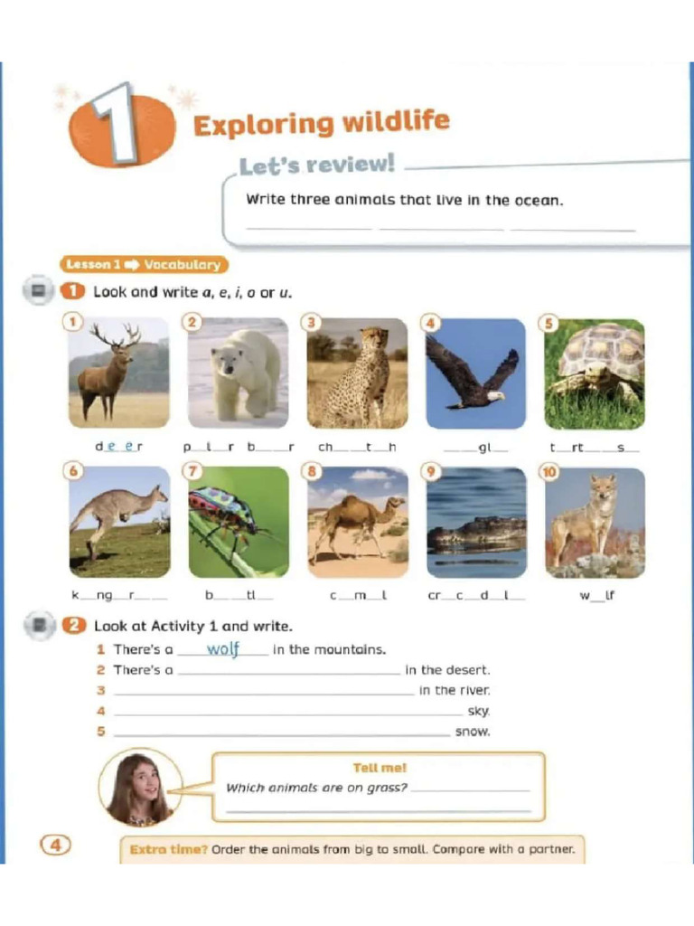 Animales | PDF
