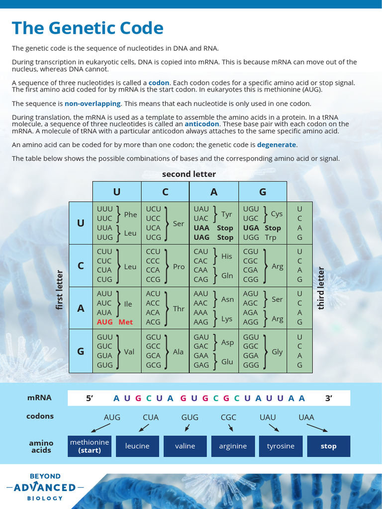 Tabel Kodon - A4 | PDF