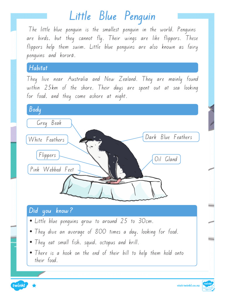 New Zealand Little Blue Penguin Reading Comprehension | PDF