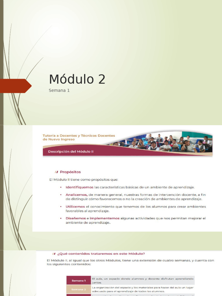 Módulo 2 | PDF