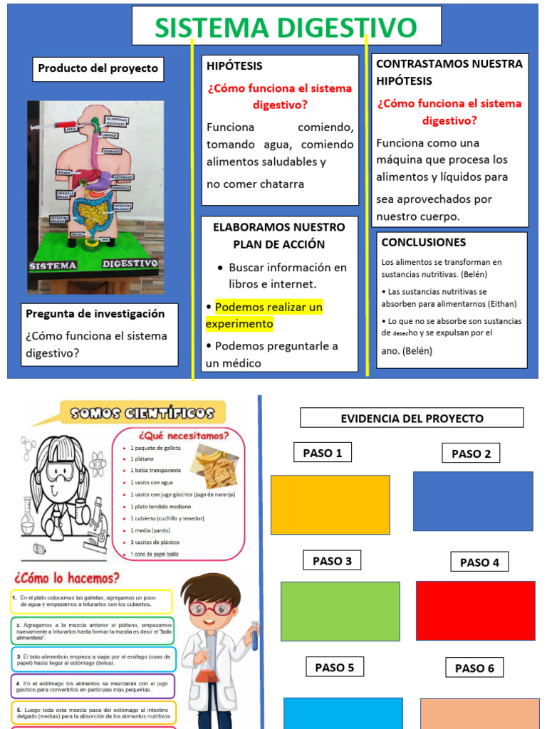 Presentación Feria de Ciencias | PDF
