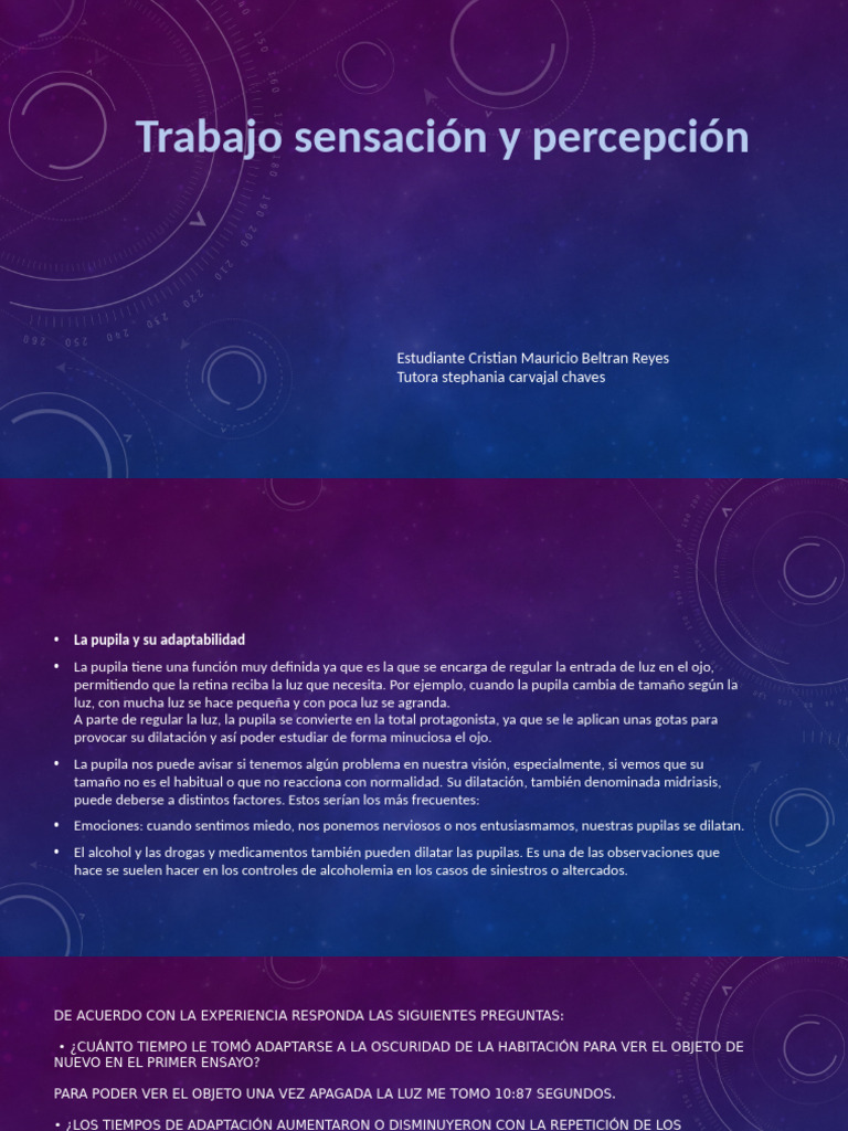 1 Entrega Sensacion y Percepcion | PDF