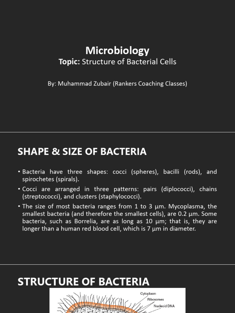 L-2 Structure of Bacterial Cells | PDF | Bacteria | Science & Mathematics