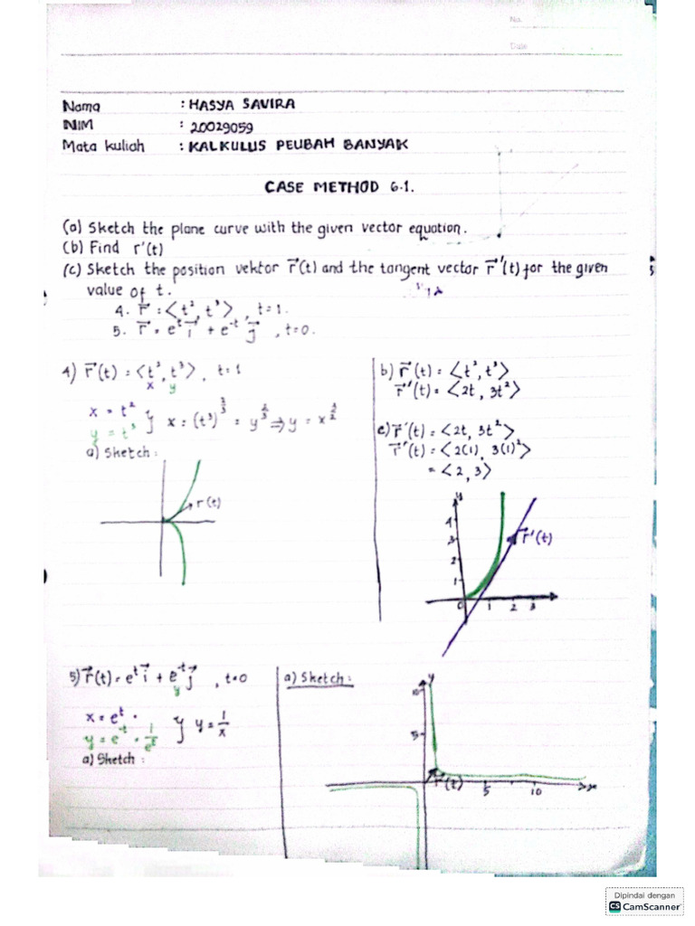 Case Methode 6 Kalkulus Vektor | PDF