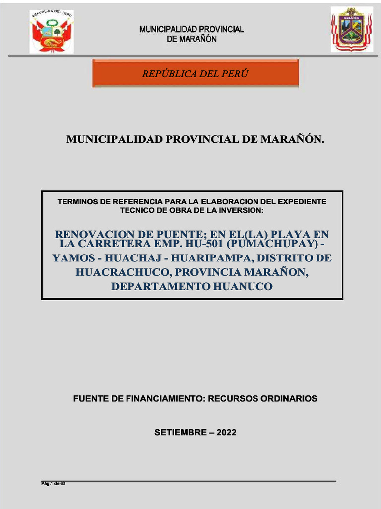 PDF TDR Exp Tecnico Puente Playa Compress | PDF