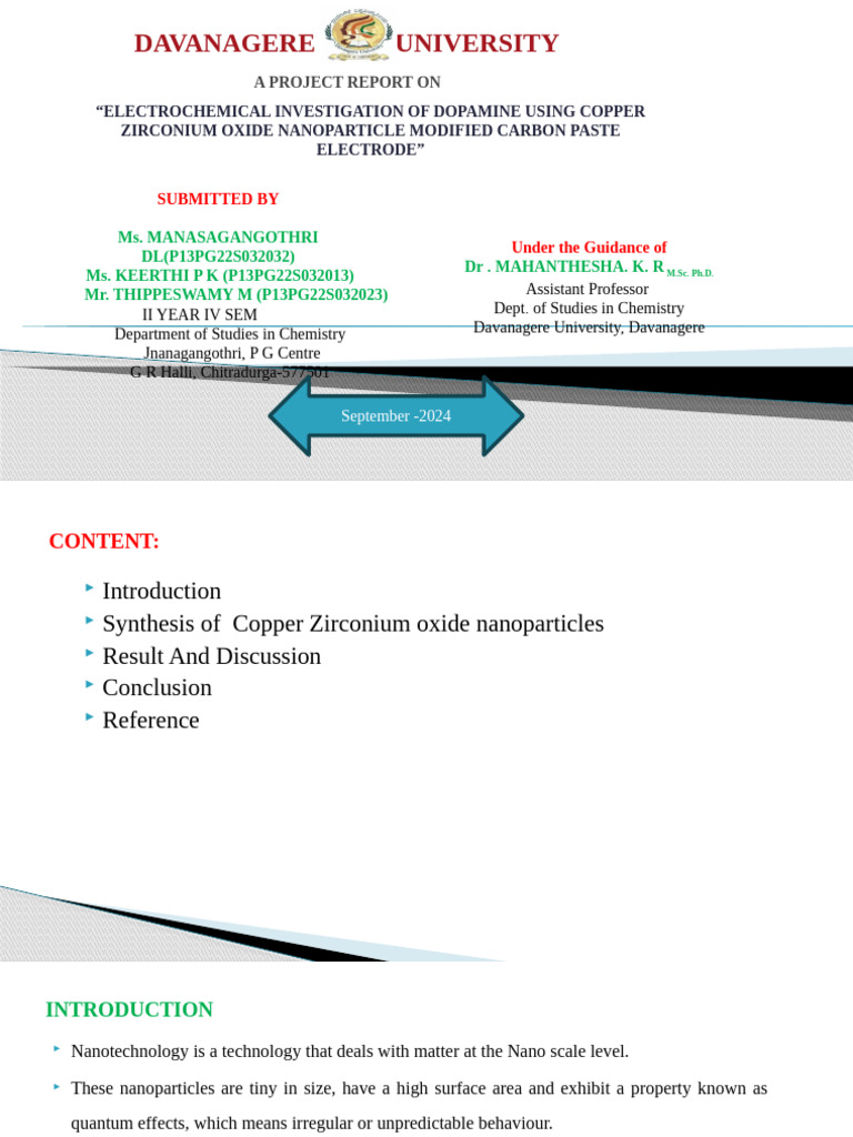 Project Slides11 | PDF