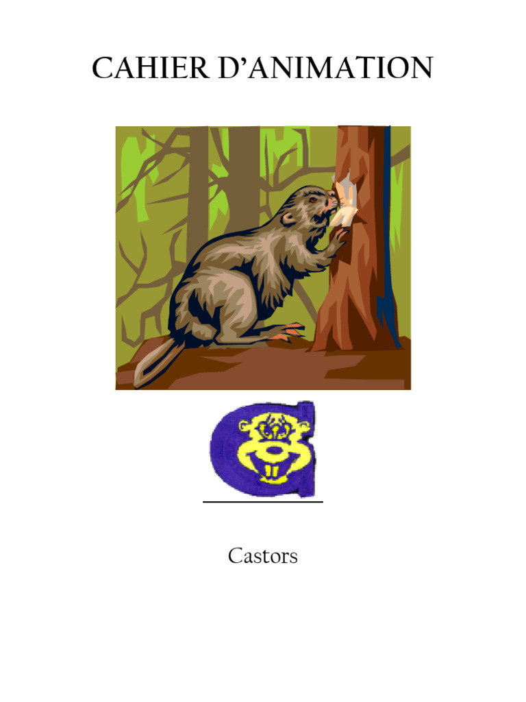 Cahier Castor | PDF