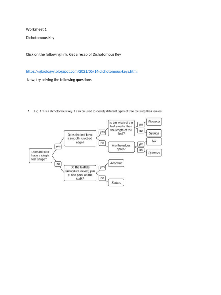 Worksheet 1 Dichotomous Key | PDF