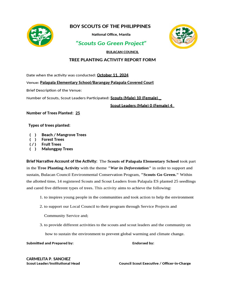 Palapala ES Scout Go Green Report Form 3 1 | PDF