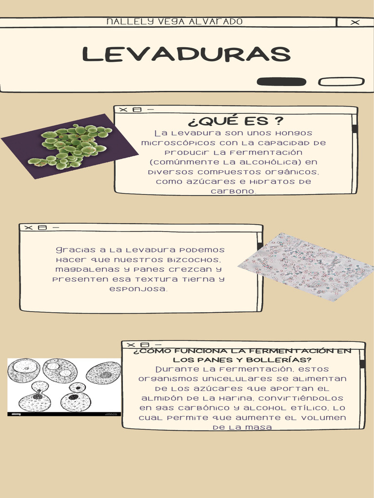 Levaduras Pdf