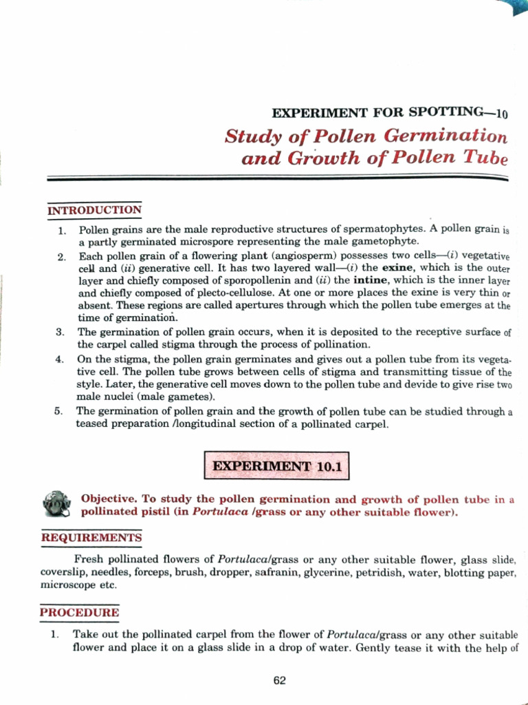 Spotting-2 | PDF