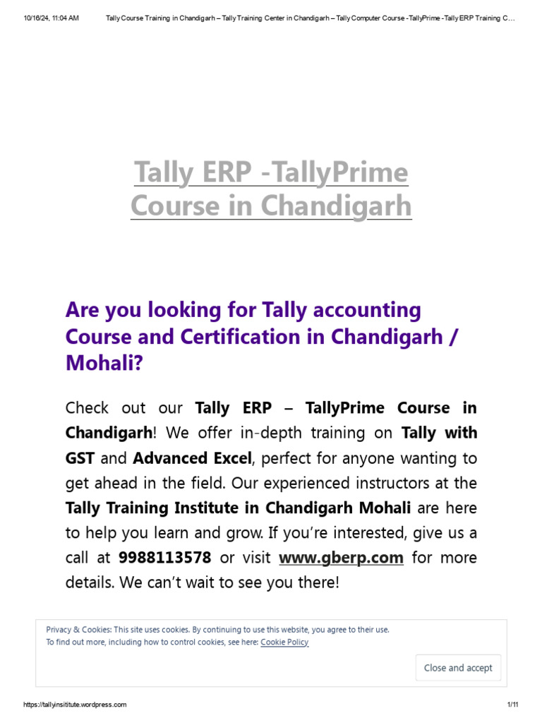 Tally Erp - Tallyprime Course in Chandigarh | PDF | Microsoft Excel ...