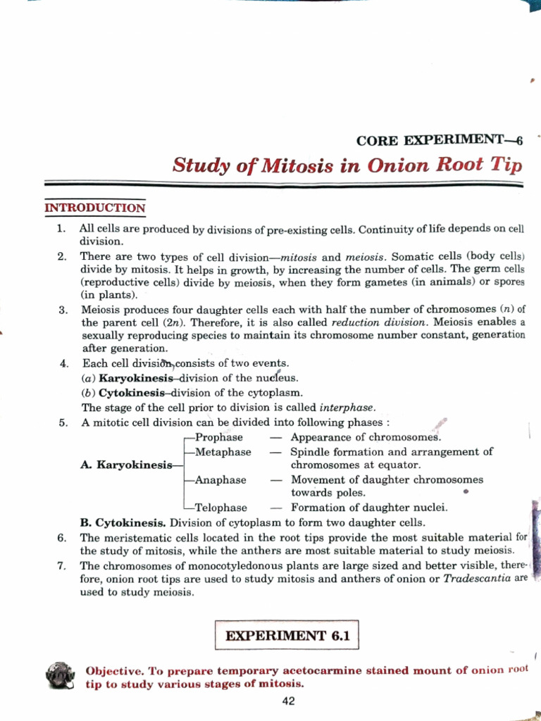 Experiment 4 | PDF