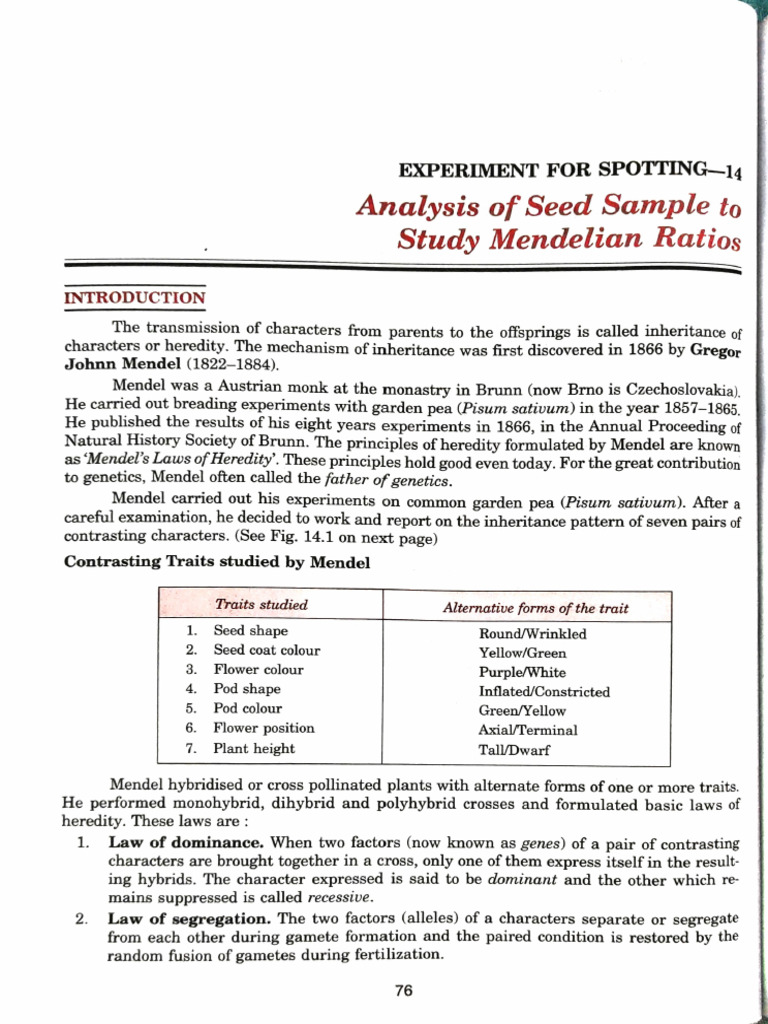Spotting 6 | PDF