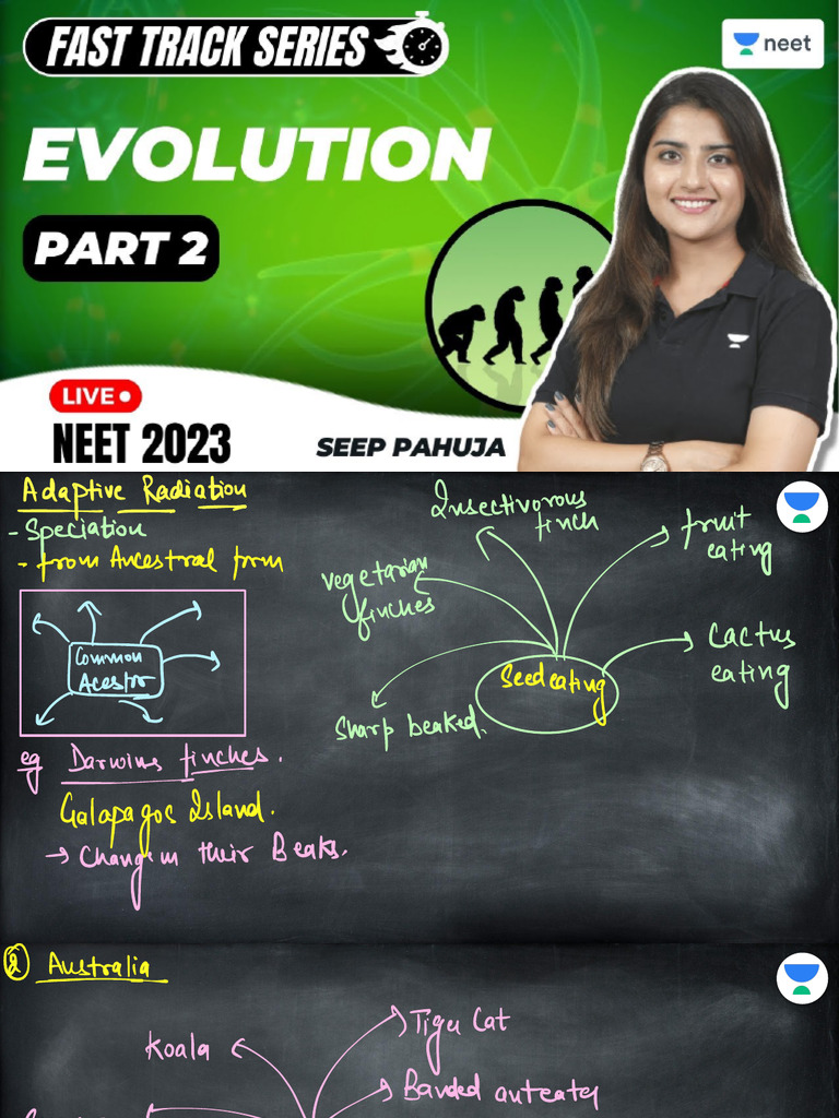 Evolution in One Shot Part - 2 | PDF