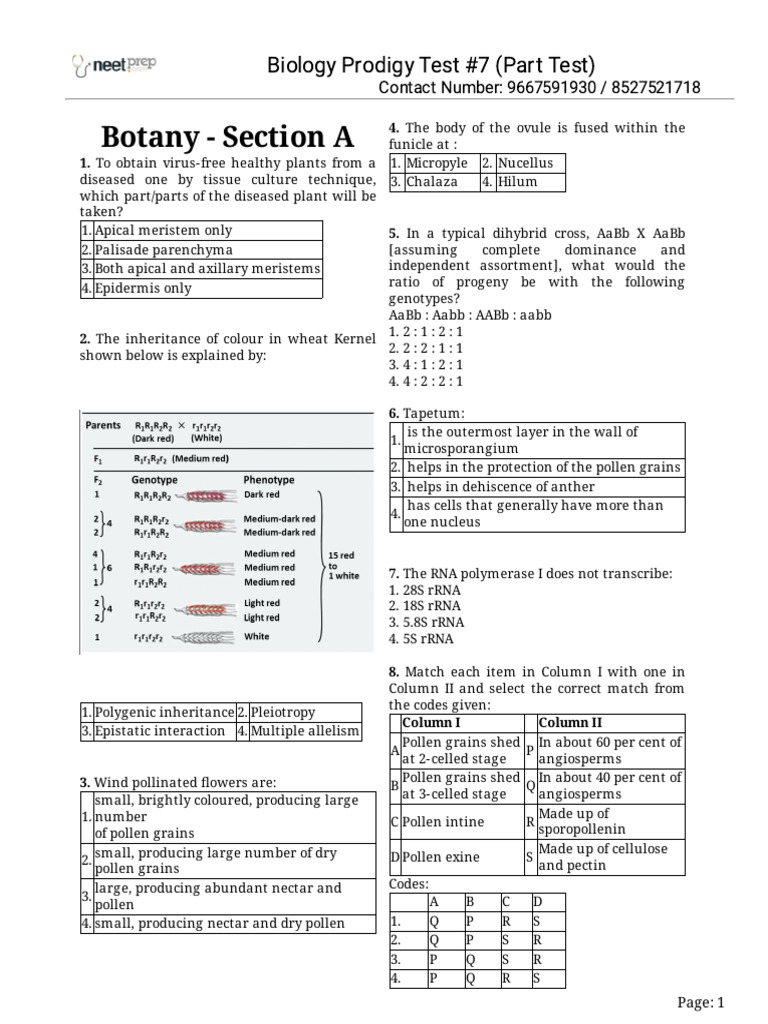 Biology Prodigy Test #7 Questions | PDF | Dna | Gene