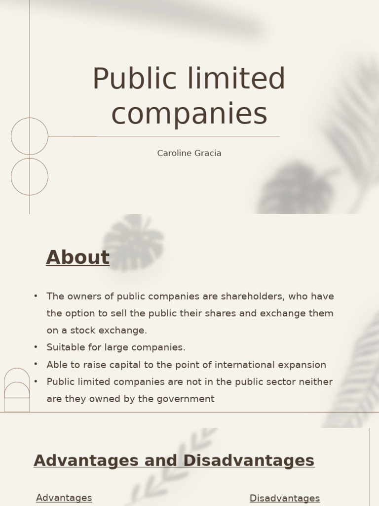Public Limited Companies | PDF