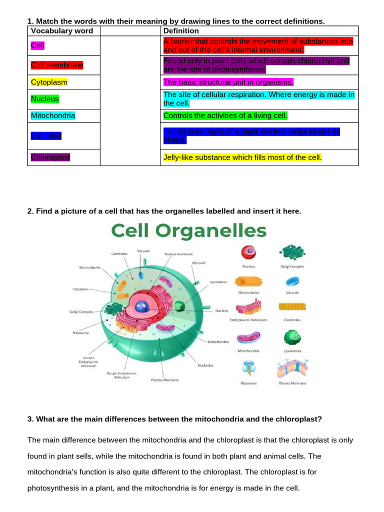 Cells & Organelles Science Task | PDF