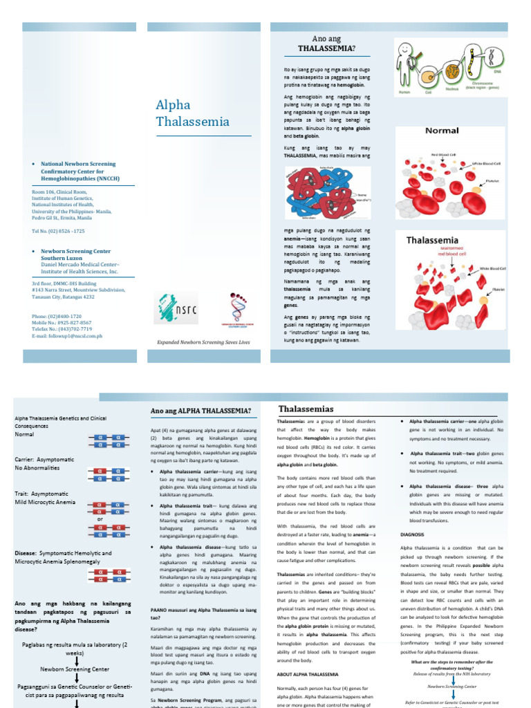 Alpha Thal Brochure | PDF