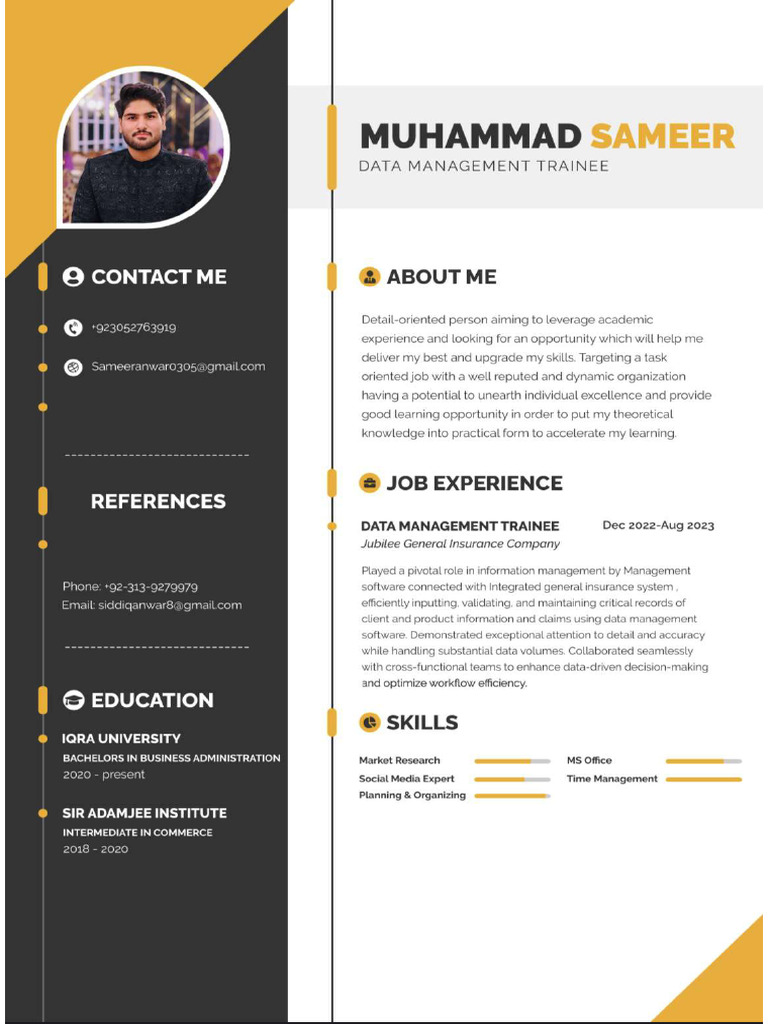 CV Sameer Compressed | PDF