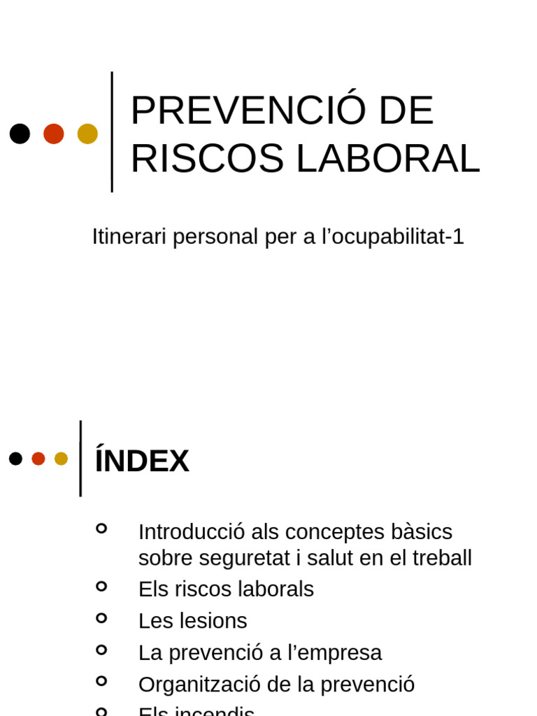 Prevencio de Riscos Laboral | PDF