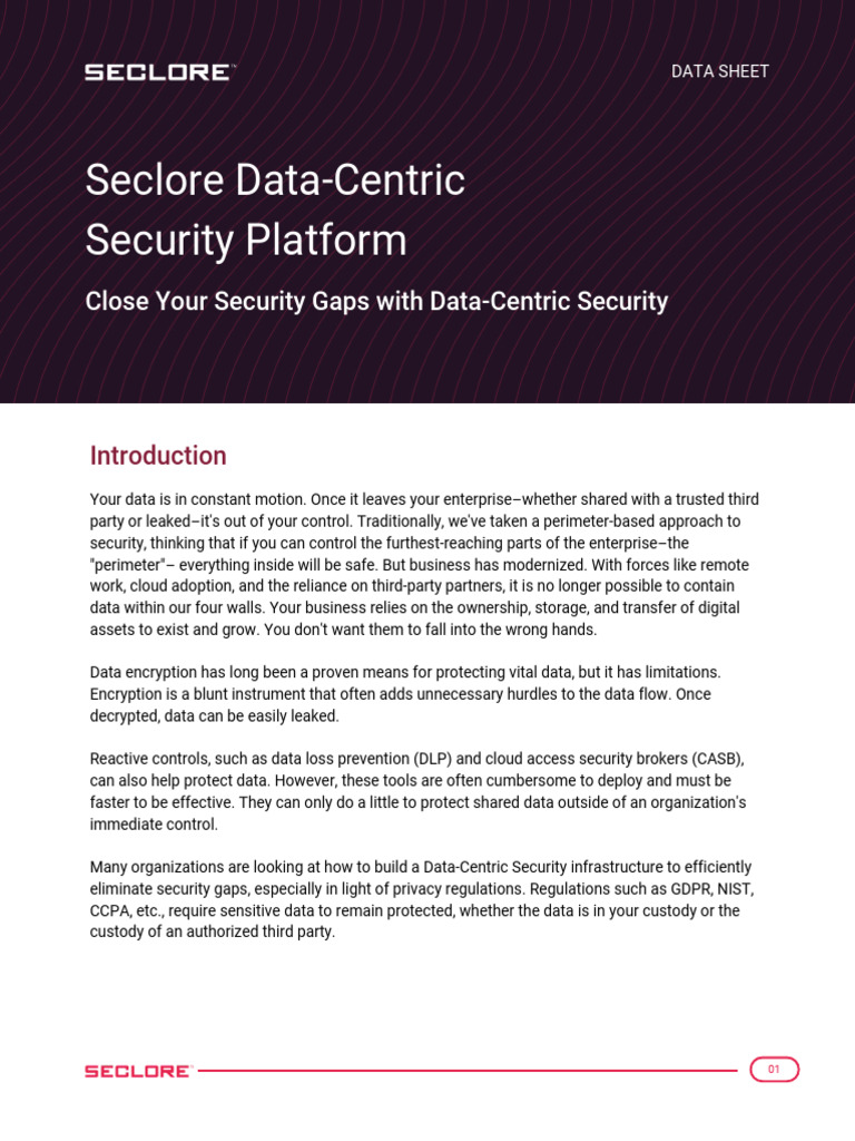 Seclore Data Centric Security Platform Datasheet | PDF