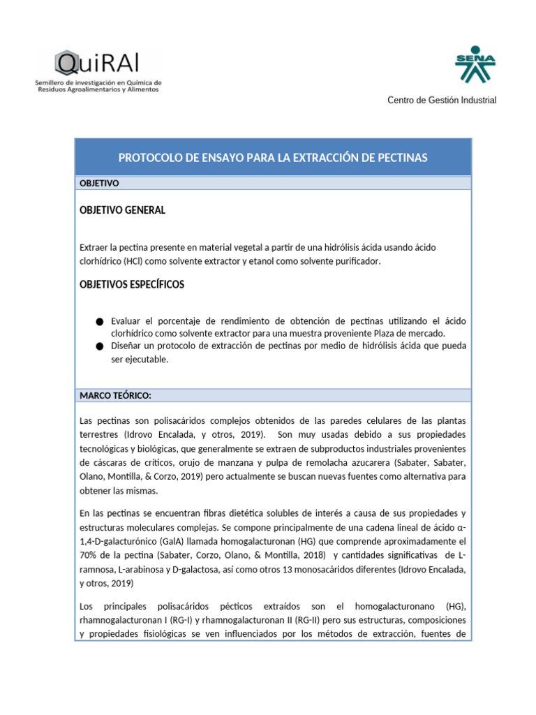 Protocolo Extracción Pectinas | PDF