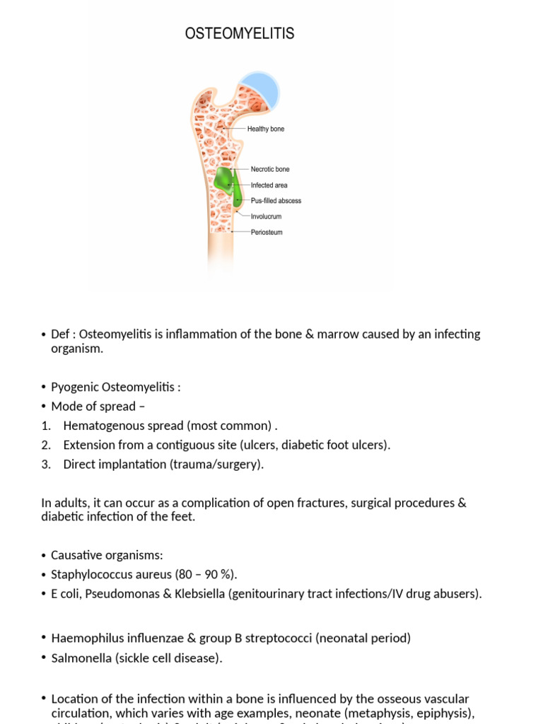 Osteomyelitis PPT (1) (Read-Only) | PDF