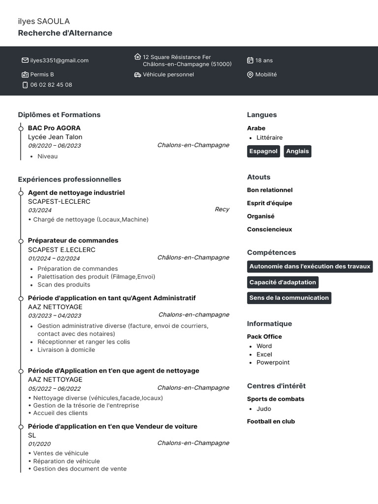 CV Alternance | PDF