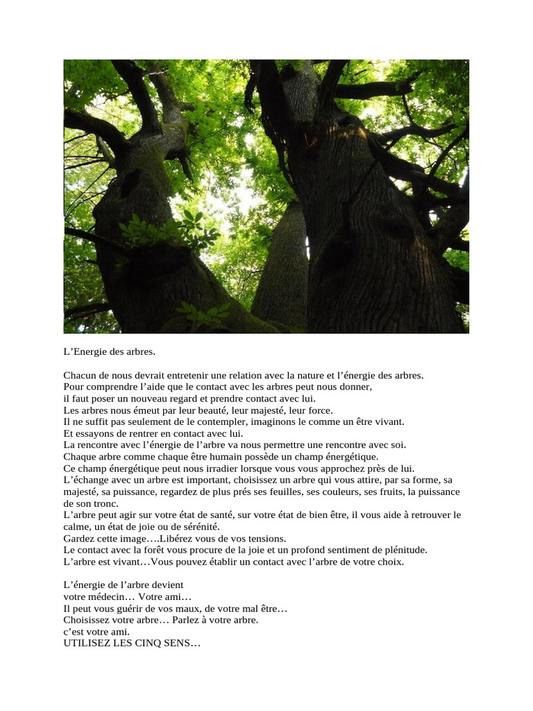 ARBRE | PDF
