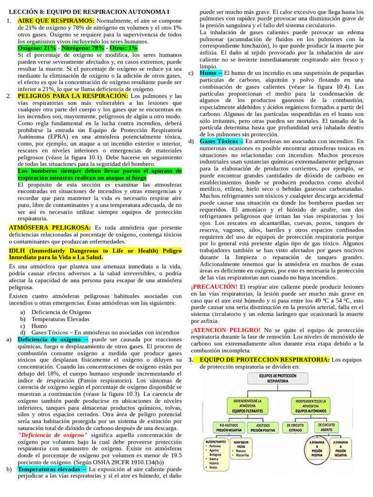 Lección 8 | PDF