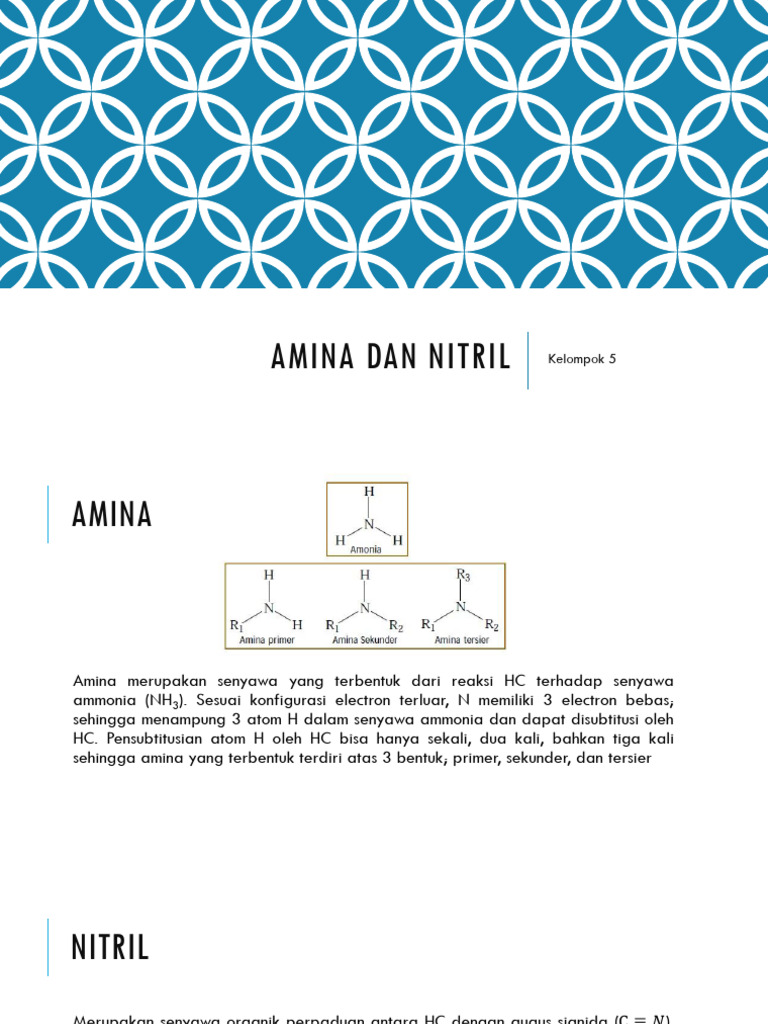 Amina Dan Nitril | PDF