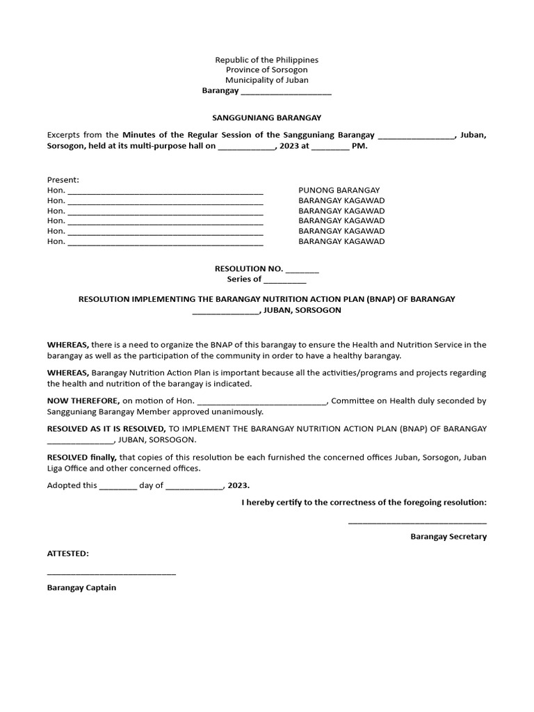 Barangay BNAP | PDF