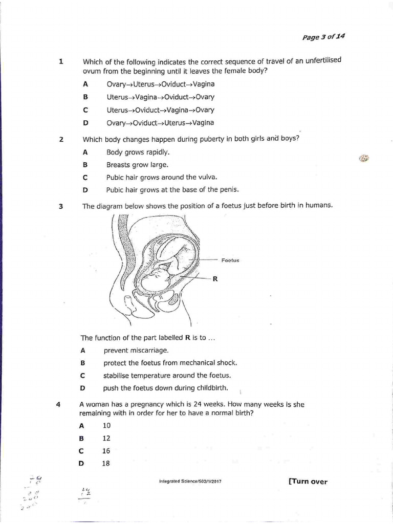 2017 Science Paper 1 Past Paper | PDF