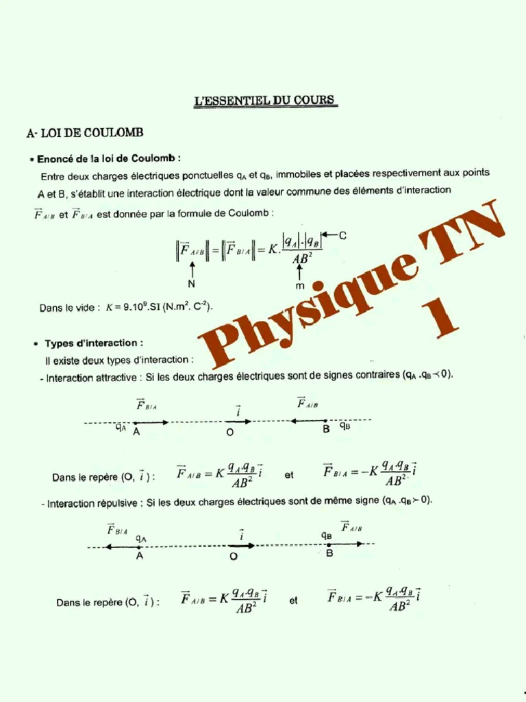 PDF Phoenix 20240929 100151 | PDF