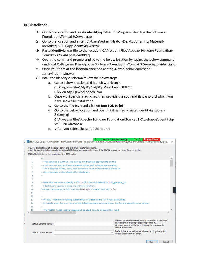 Installation of IIQ | PDF