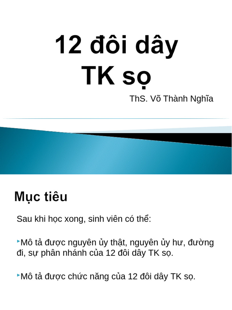 12 TK So - Gui SV | PDF