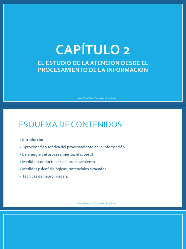 Capítulo 2 | PDF