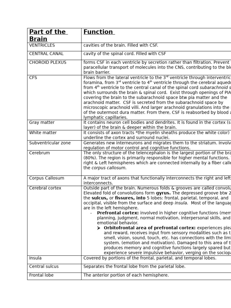 CH 8 - Brain Function Chart | PDF