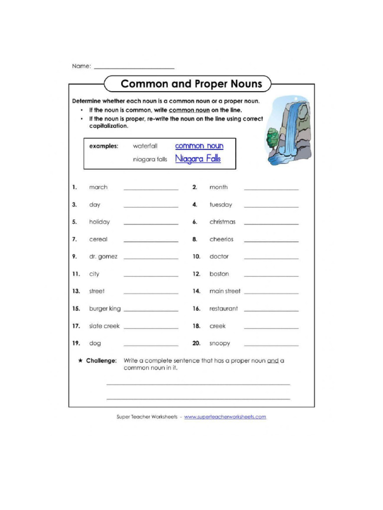 Common Noun Quiz | PDF