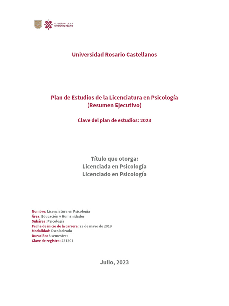 Lpsi - Escolarizada - Resumen Ejecutivo - Final | PDF