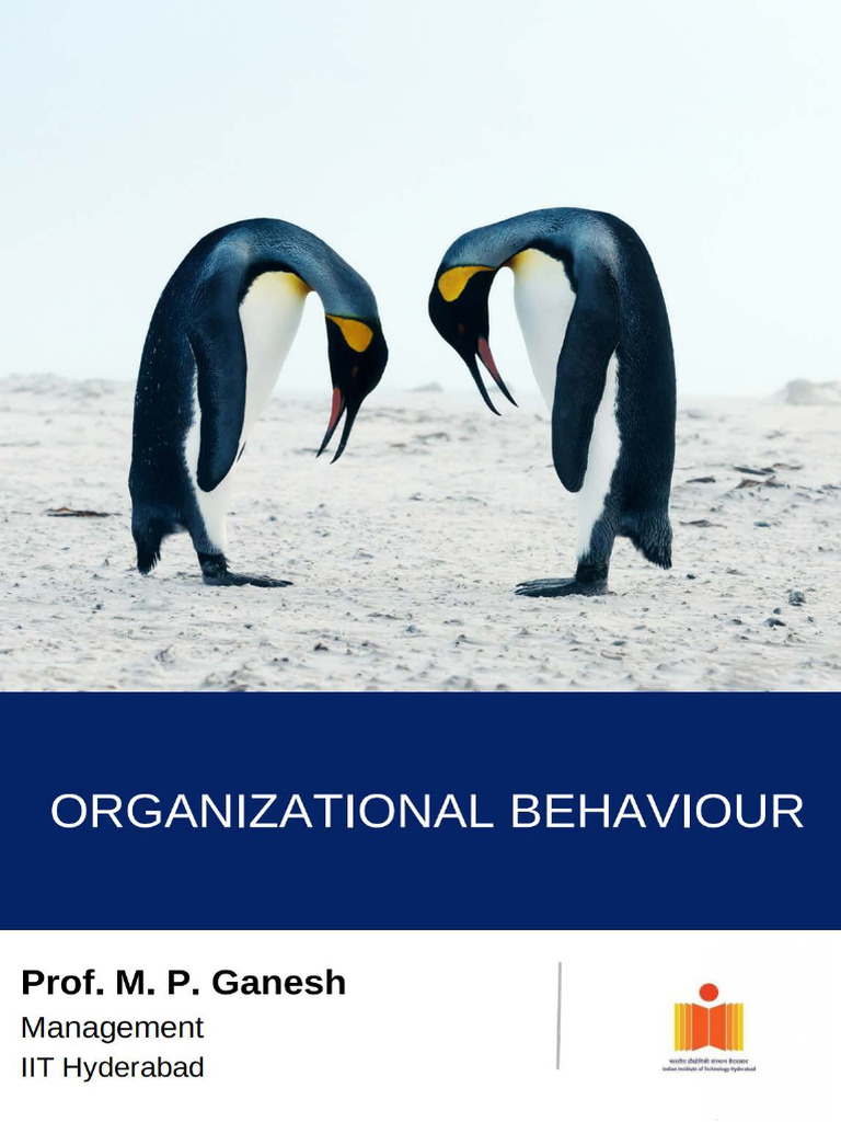 Organizational Behaviour | PDF