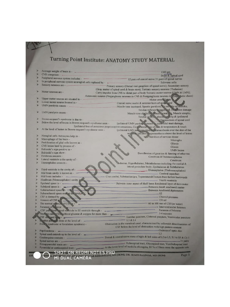 Turning Point Ana | PDF