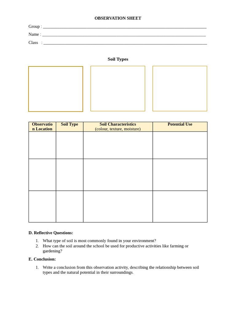Observation Sheet 7th Grade | PDF