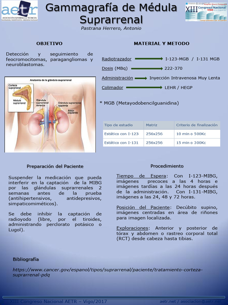 Medula Suprarrenal | PDF
