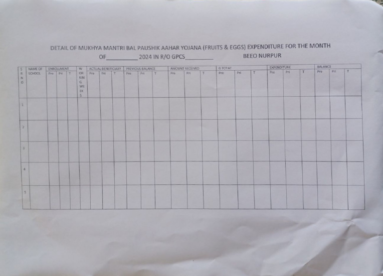 Mukhya Mantri Bal Paushik Proforma | PDF